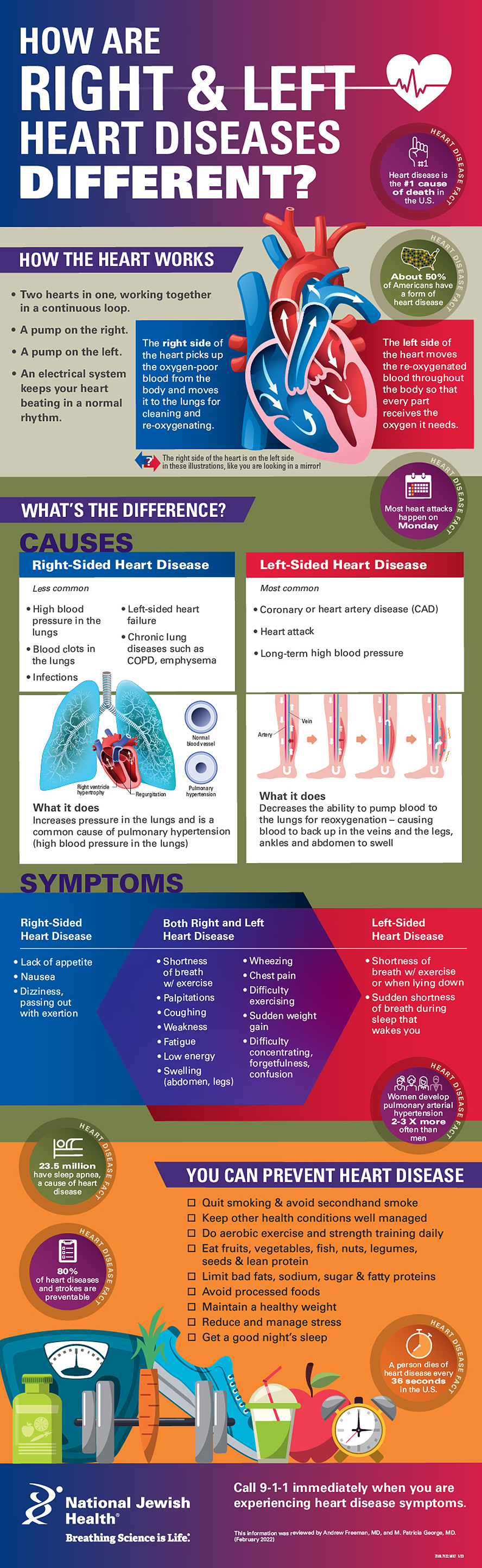 Infographic Heart Disease